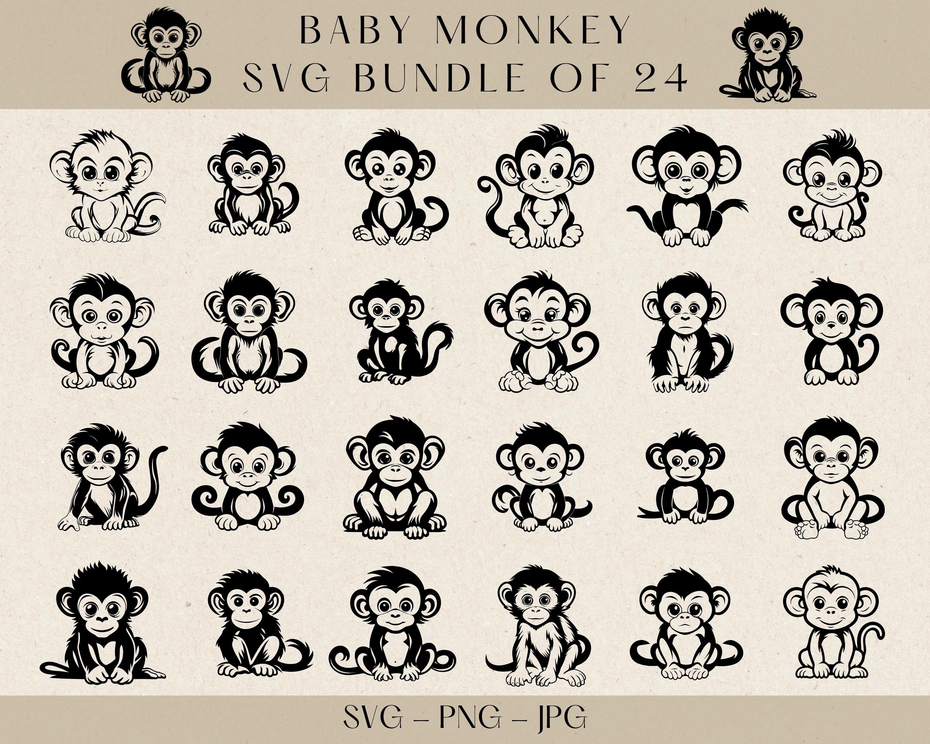 Baby Monkey Svg, Monkey Svg, Monkey Clipart, Monkey Png, Monkey Vector ...