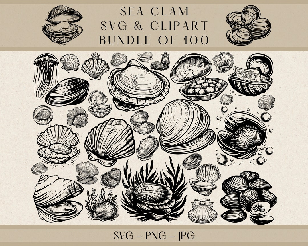 Sea Clam SVG, Sea Clam Clipart, Sea Clam Png, Sea Clam Vector, Seashell ...