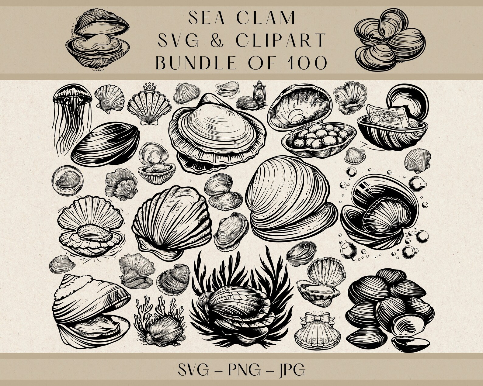 Sea Clam SVG, Sea Clam Clipart, Sea Clam Png, Sea Clam Vector, Seashell ...