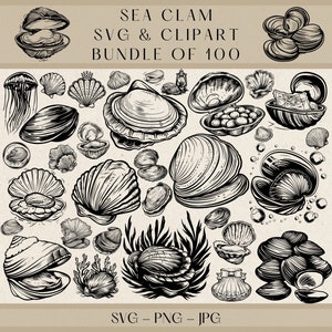 Sea Clam SVG, Sea Clam Clipart, Sea Clam Png, Sea Clam Vector, Seashell ...