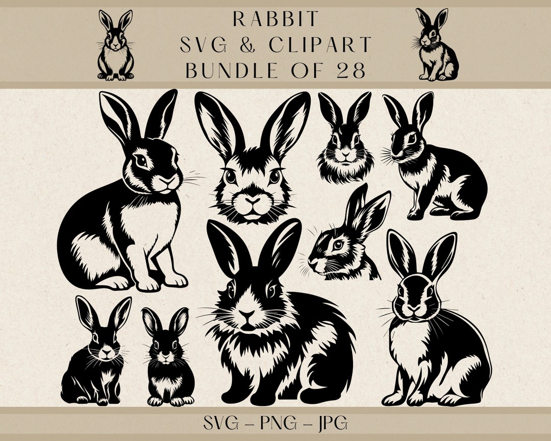 Rabbit Svg, Rabbit Png, Rabbit Clipart, Rabbit Vector, Rabbit ...