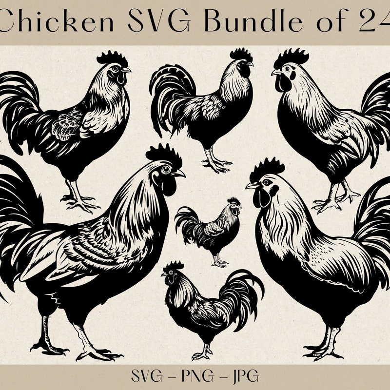 Chicken Svg - Etsy