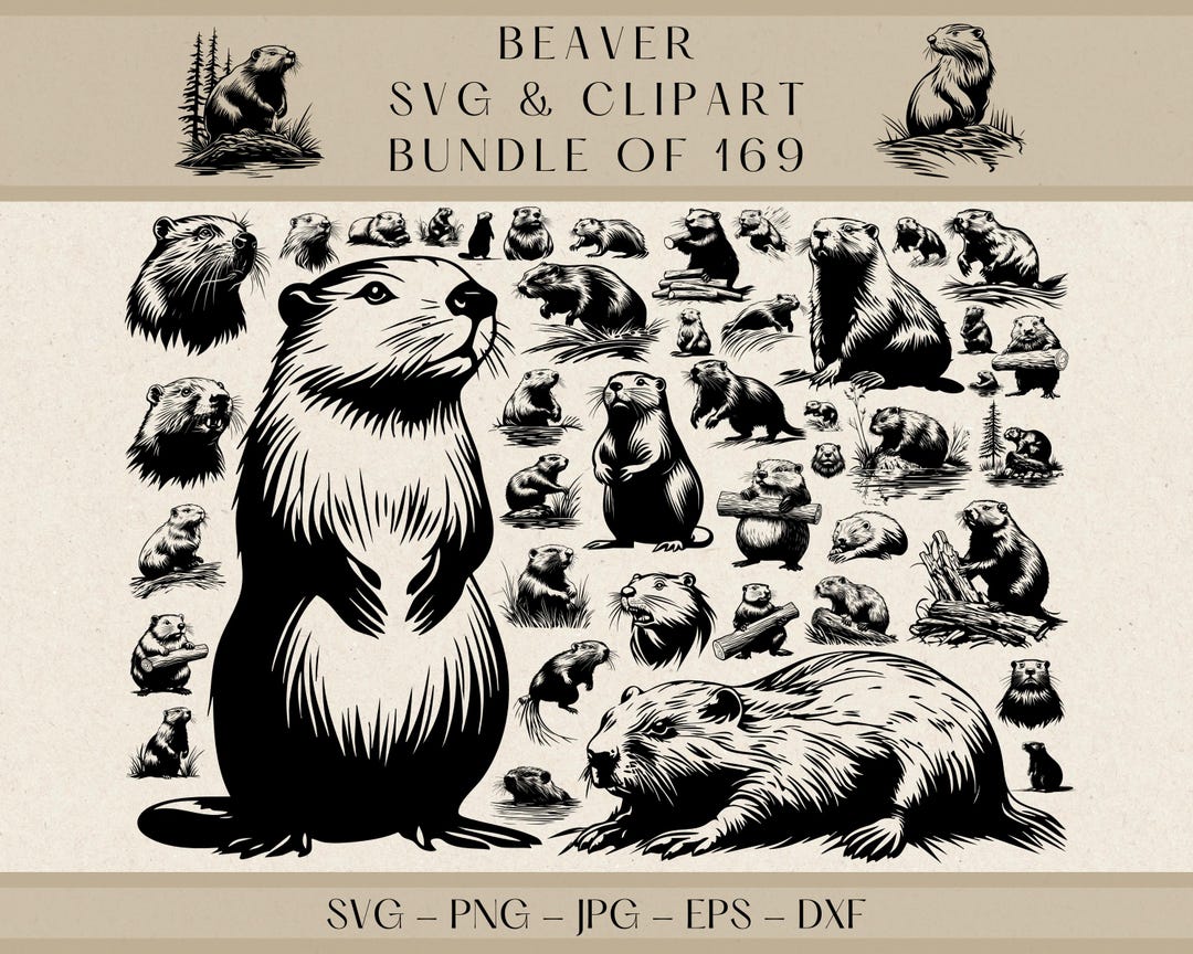 Beaver SVG, Beaver Clipart, Beaver PNG, Beaver Vector, Beaver ...