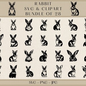 Hase SVG, Hase Png, Hase Clipart, Hase Vektor, Hase Silhouette, Hase ...