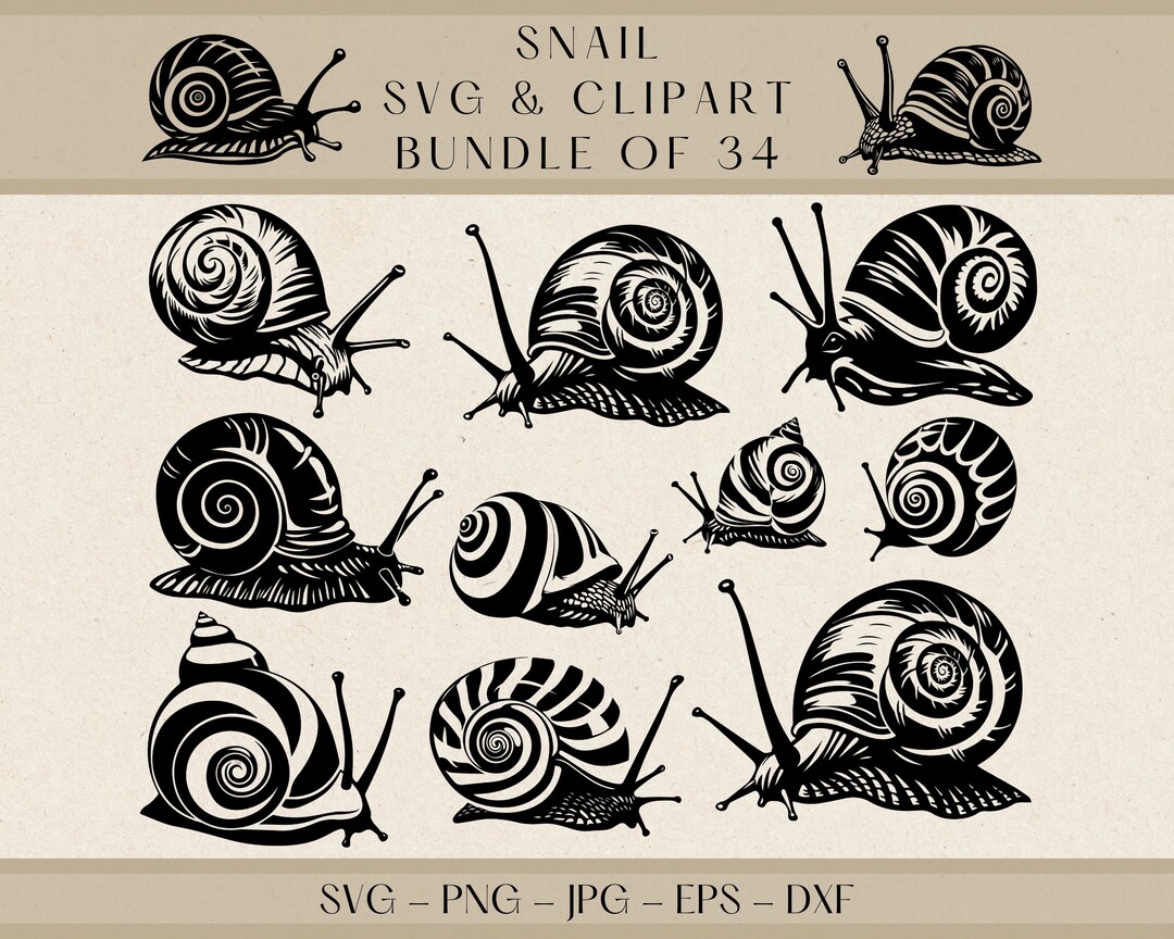 Snail SVG, Snail Clipart, Snail Png, Snail Vector, Snail Silhouette ...