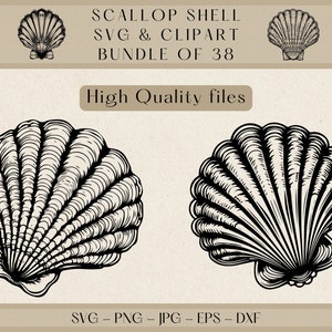 Scallop Shell SVG, Scallop Shell Clipart Scallop Vector, Scallop ...