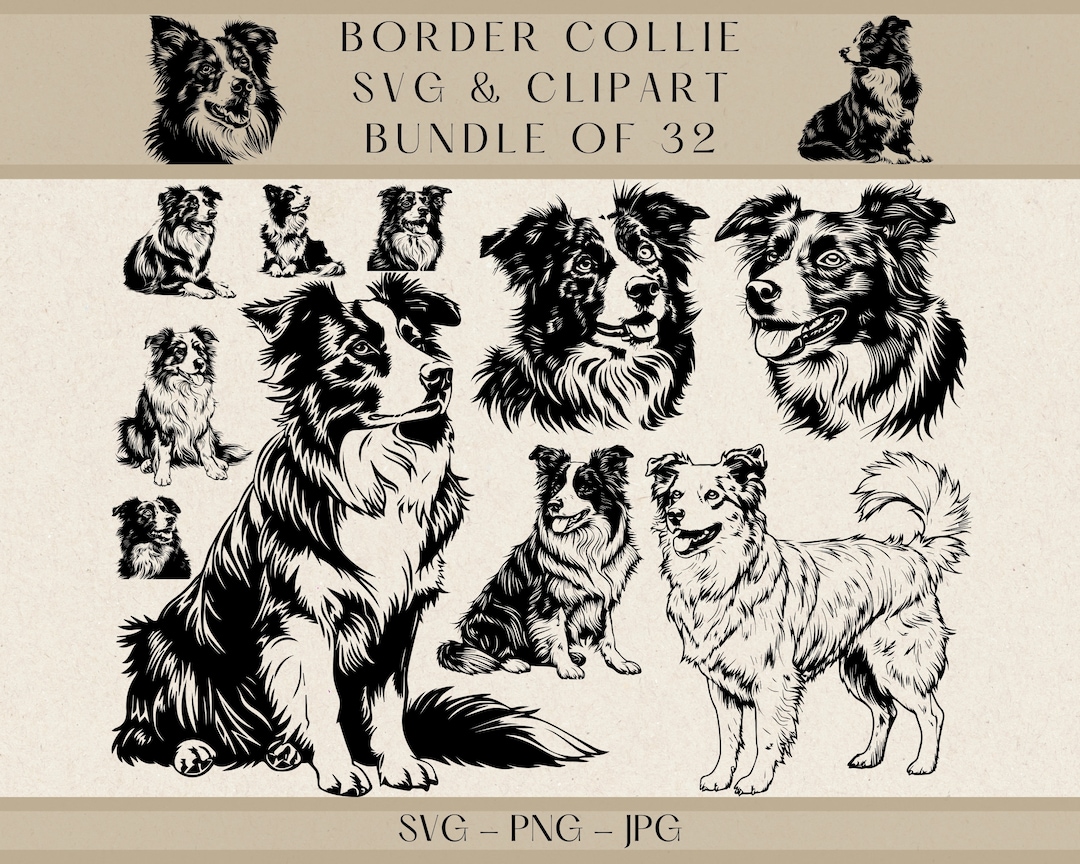 Border Collie SVG Clipart Bundle: Dog Silhouette Vector (digital ...