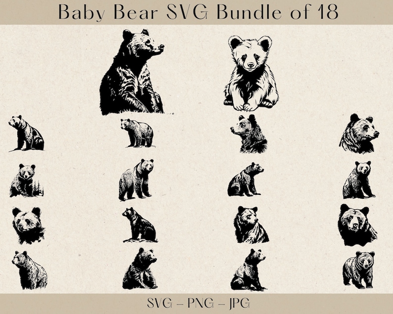 Baby Bear SVG Bundle, Baby Bear SVG, Baby Bear PNG, Baby Bear Clipart ...