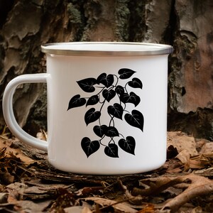 Pothos SVG, Pothos Clipart, Pothos PNG, Pothos Vector, Pothos ...