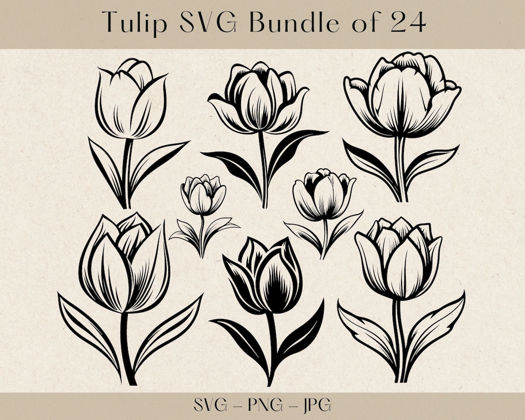 Tulip SVG, Tulip SVG Bundle, Tulip Silhouette, Tulip Clipart, Tulip svg ...