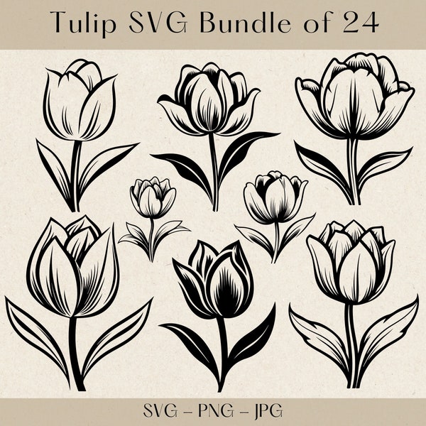Tulip Svg - Etsy