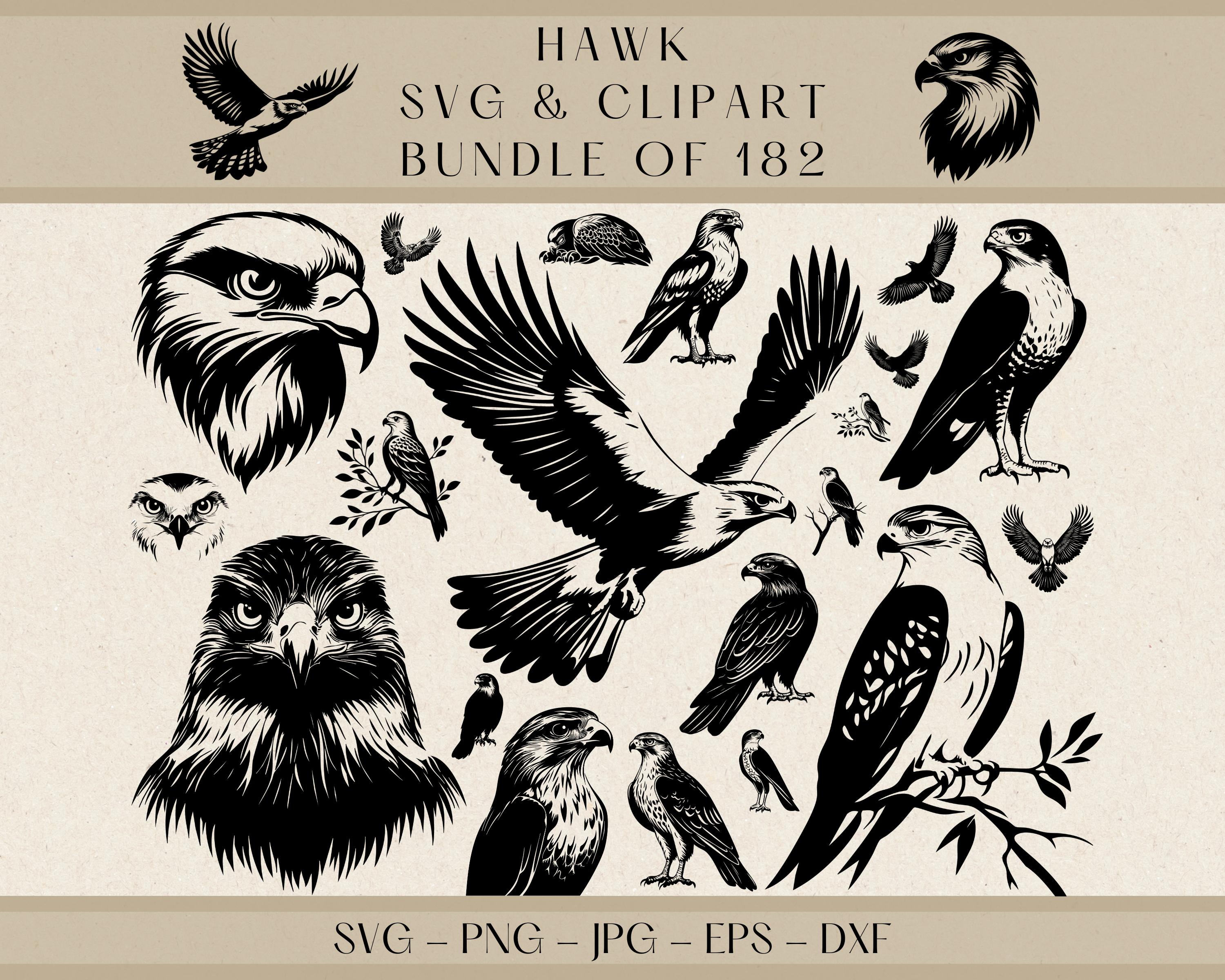 Halcón SVG, Halcón Clipart, Halcón PNG, Halcón Vector, Halcón Silueta ...