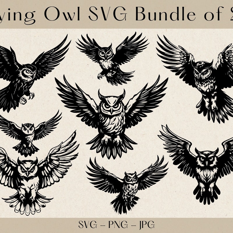Owl Svg - Etsy