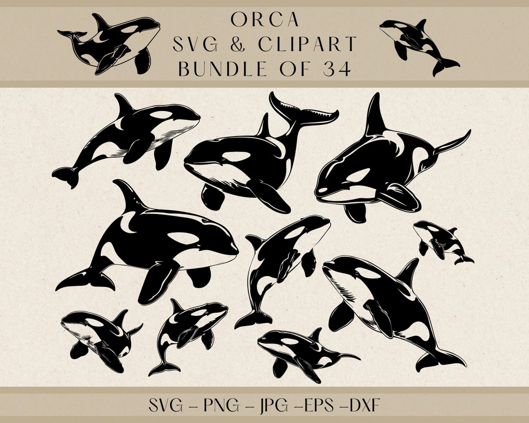 Orca SVG, Orca Clipart, Orca Png, Orca Vector, Orca Silhouette, Killer ...