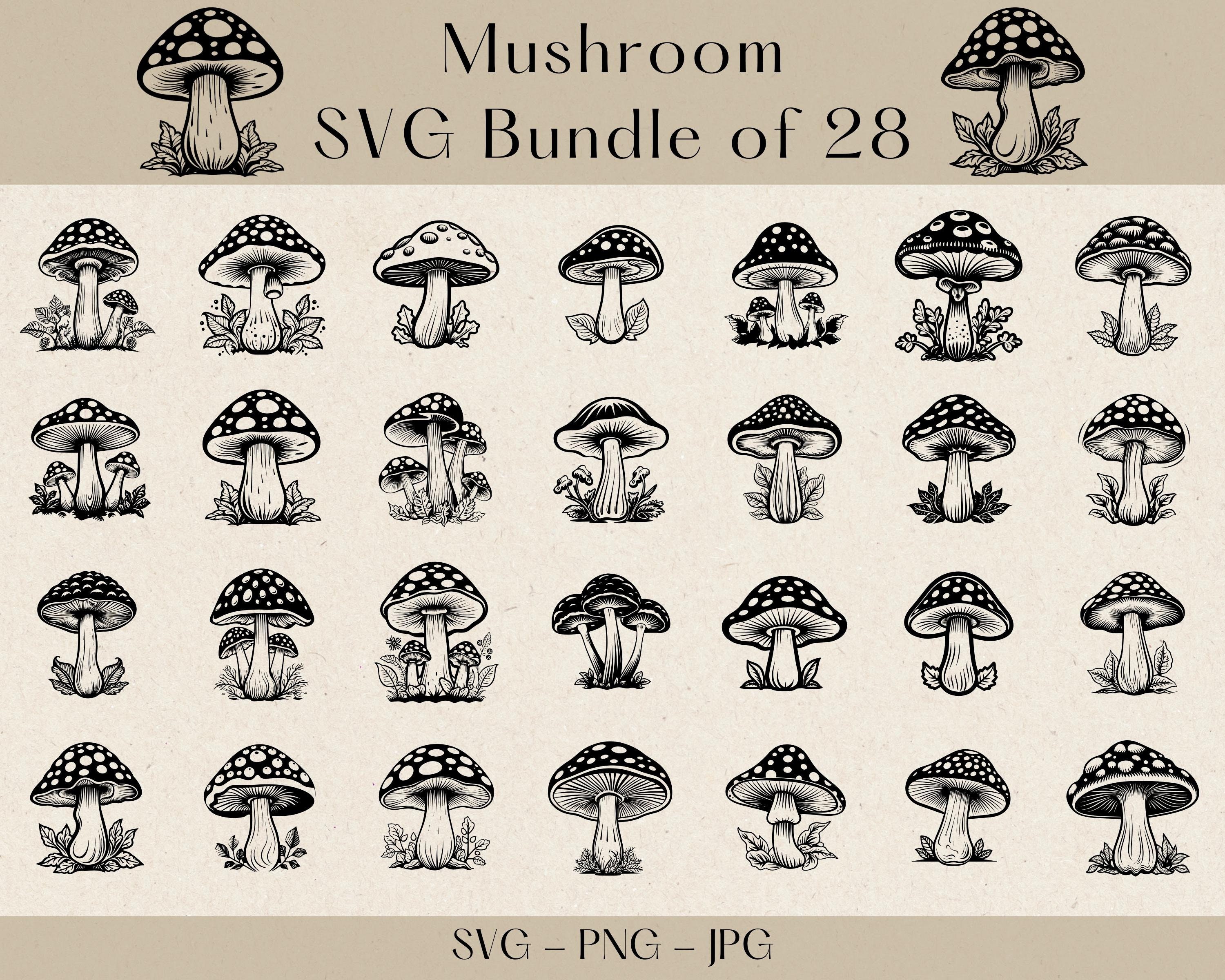 Setas SVG, Paquete SVG de setas, PNG de setas, Imágenes prediseñadas de ...