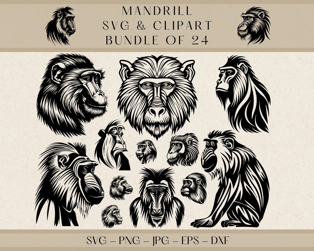 Mandrill SVG, Mandrill Clipart, Mandrill Png, Mandrill Vector, Mandrill ...