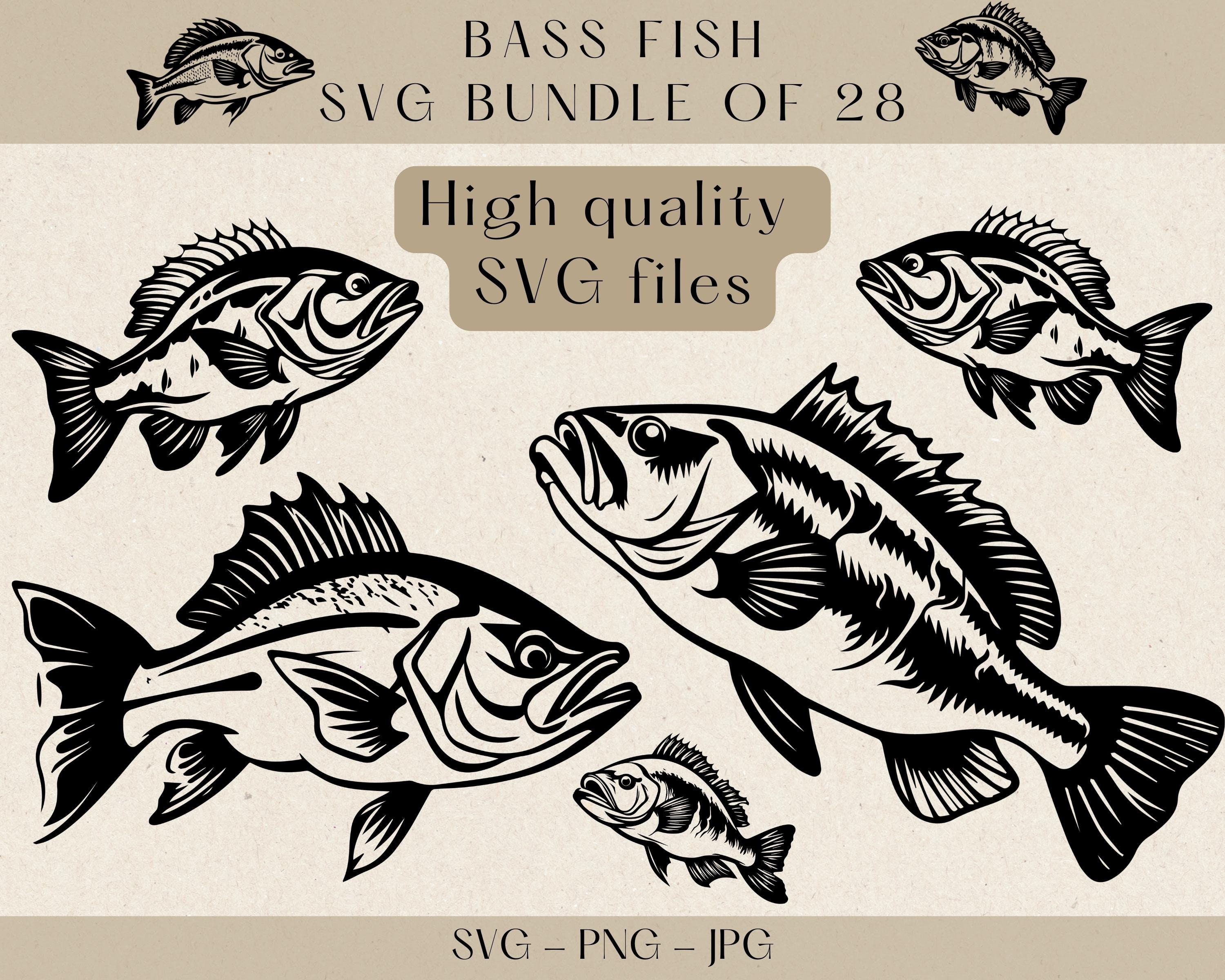Bass Fish SVG Fish SVG Fish Png Fish Clipart Fish Vector - Etsy