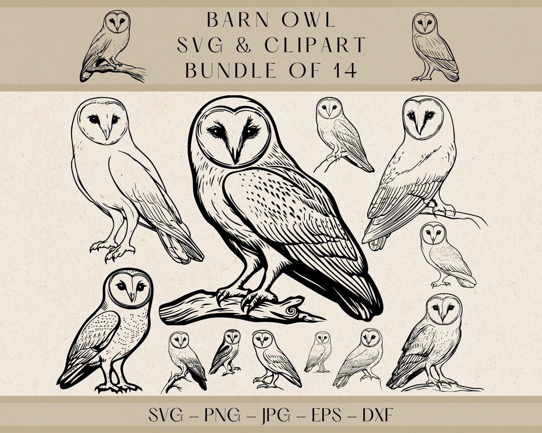 Barn Owl SVG, Barn Owl Clipart, Barn Owl PNG, Barn Owl Vector, Barn Owl ...