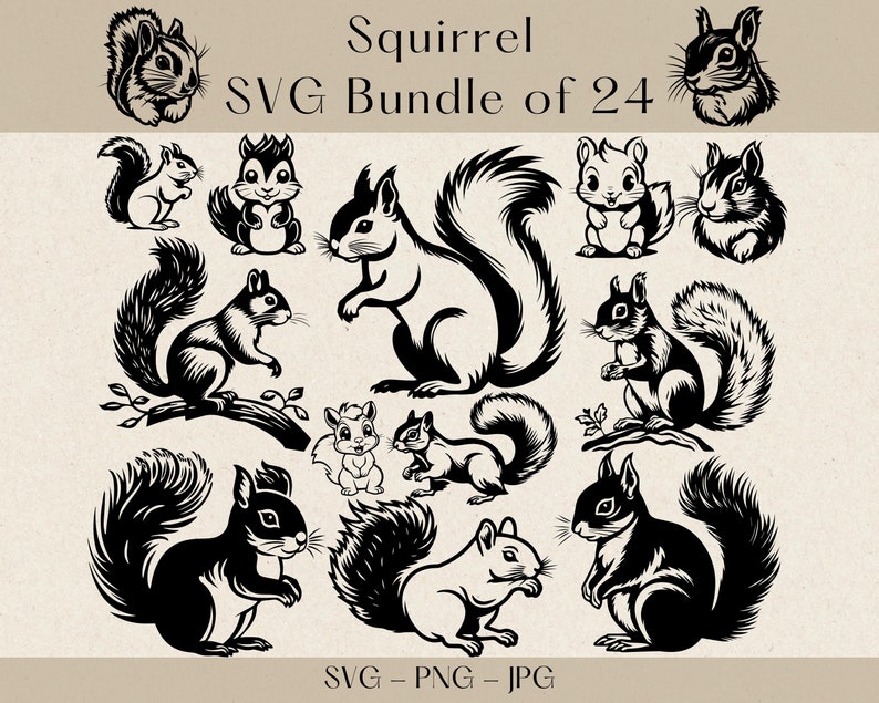 Squirrel Svg Squirrel Svg Bundle Squirrel Clipart Squirrel Png
