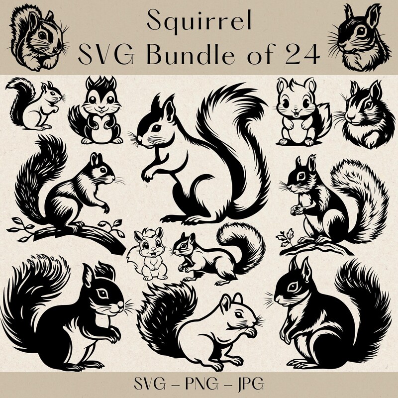 Squirrel Svg - Etsy