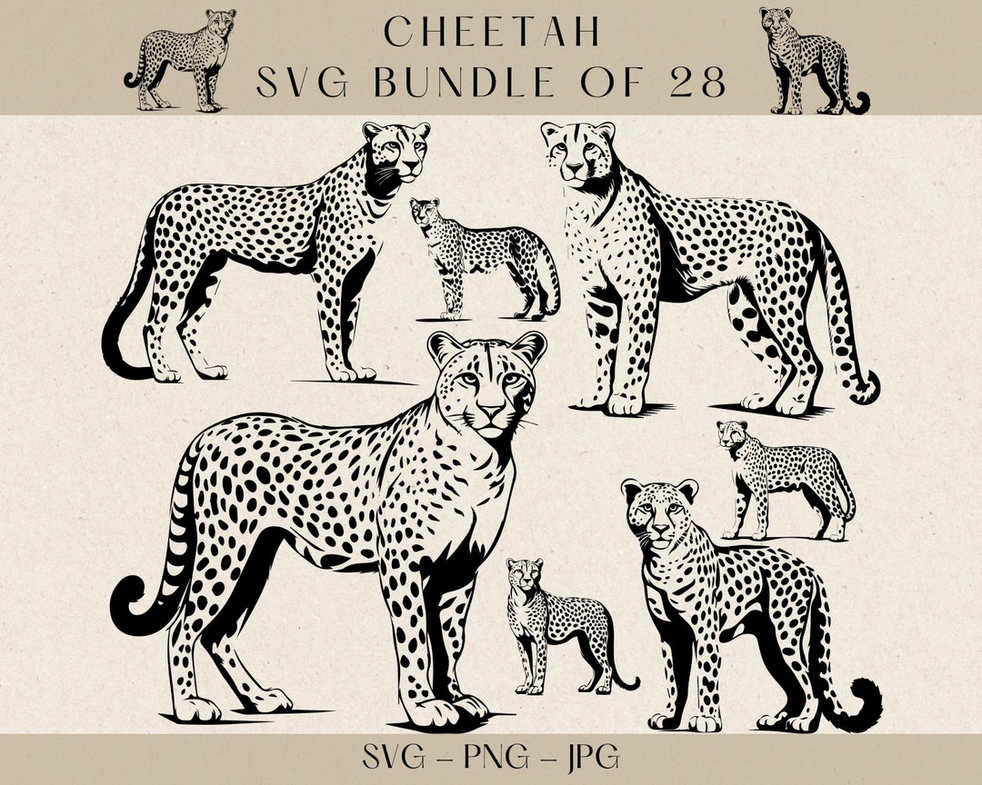 Cheetah Svg, Cheetah Clipart, Cheetah Vector, Leopard Vector, Cheetah ...