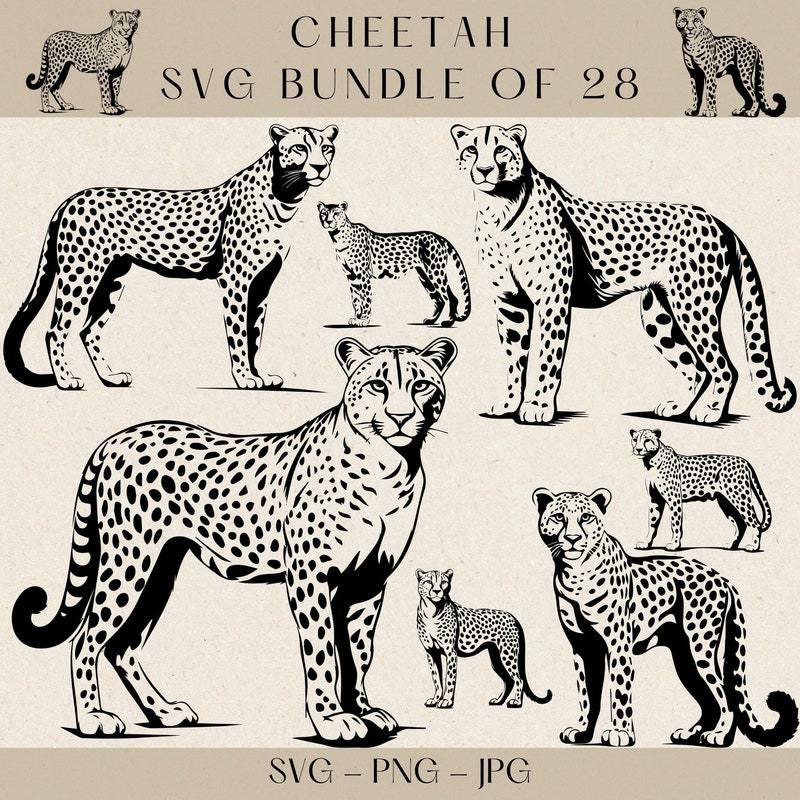 Cheetah Vector - Etsy