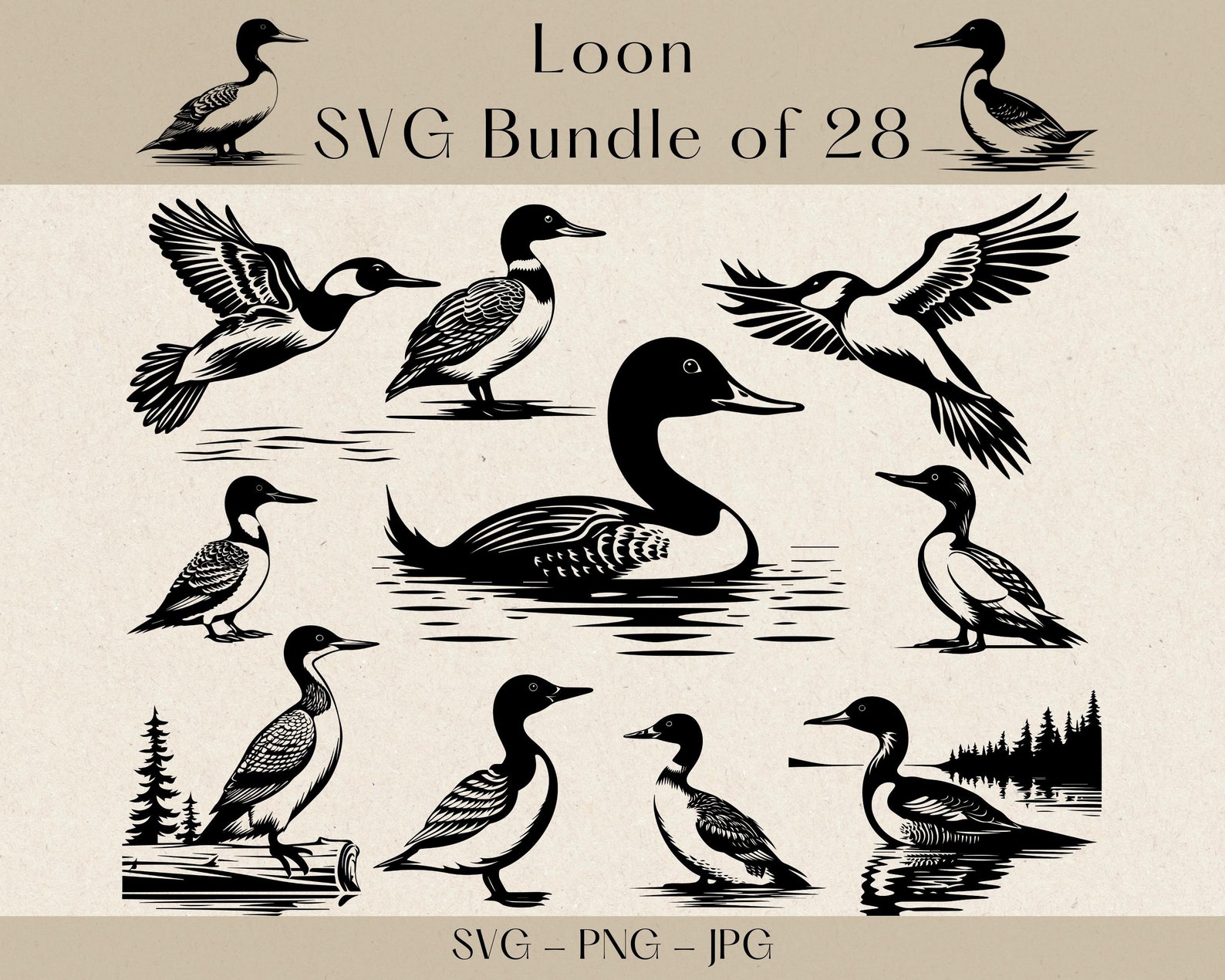Loon SVG, Loon Bird SVG, Loon Vector, Loon PNG, Loon Silhouette, Bird ...