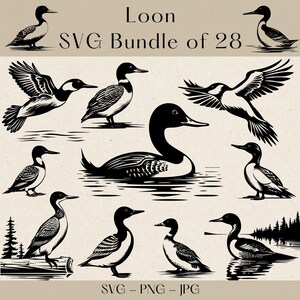 Loon SVG, Loon Bird SVG, Loon Vector, Loon PNG, Loon Silhouette, Bird ...