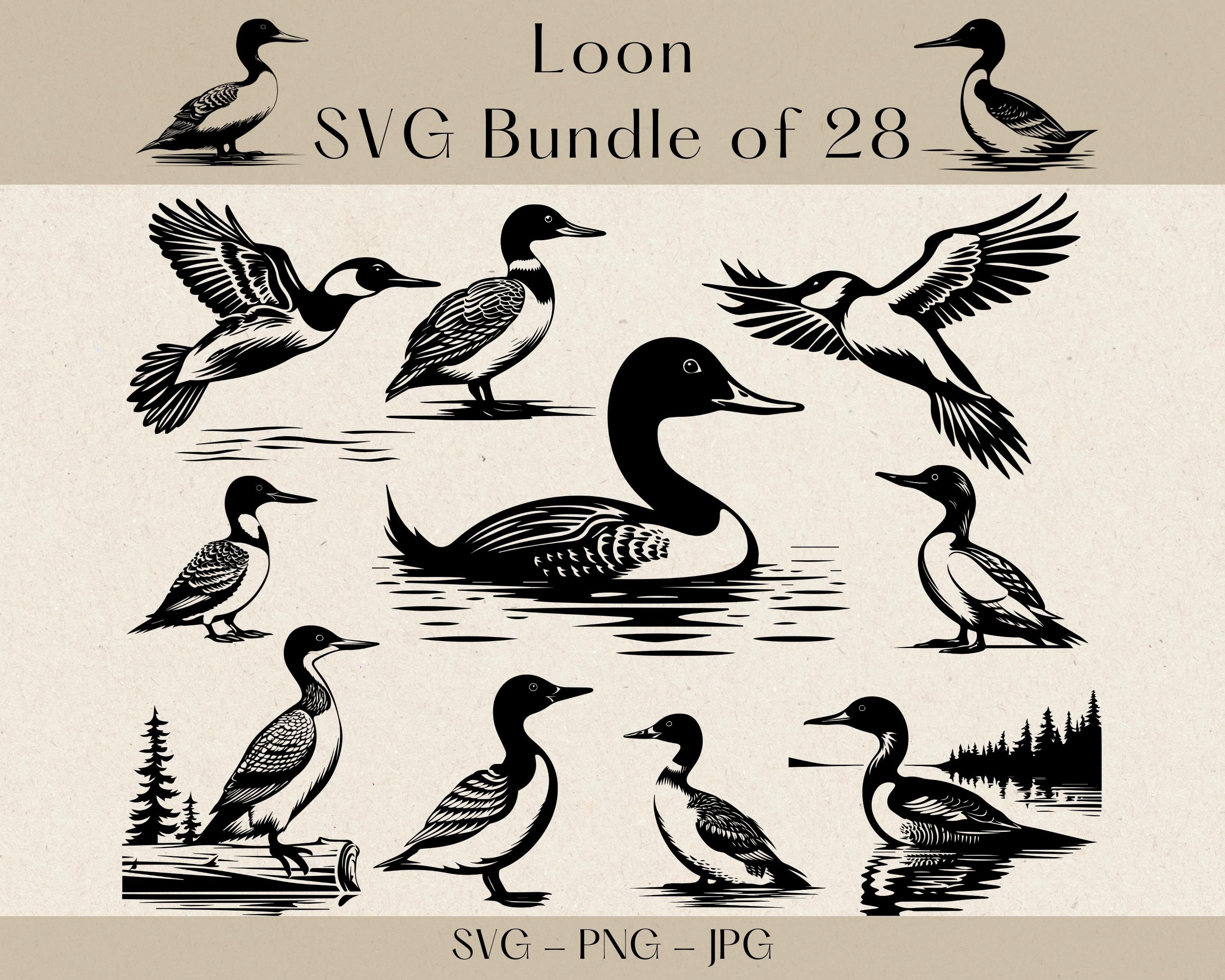 Loon SVG, Loon Bird SVG, Loon Vector, Loon PNG, Loon Silhouette, Bird ...