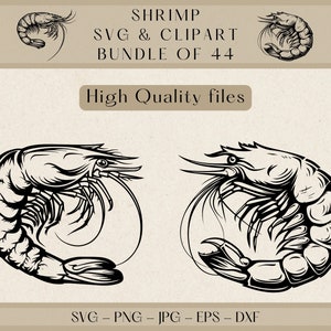 Shrimp SVG, Shrimp Clipart, Shrimp Png, Shrimp Vector, Shrimp ...