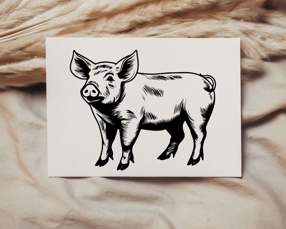 Pig SVG Pig SVG Bundle Pig Clipart Pig Vector Pig Svg - Etsy