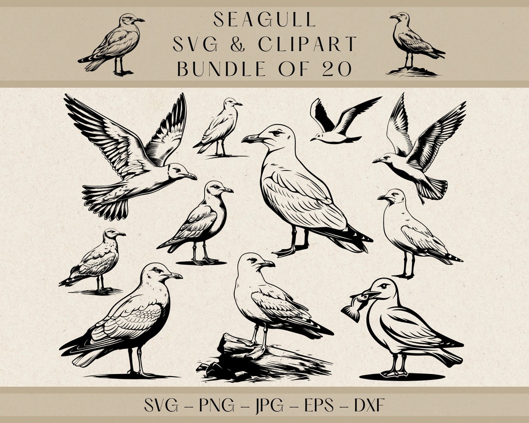 Seagull SVG, Seagull Clipart, Seagull Png, Seagull Vector, Seagull ...