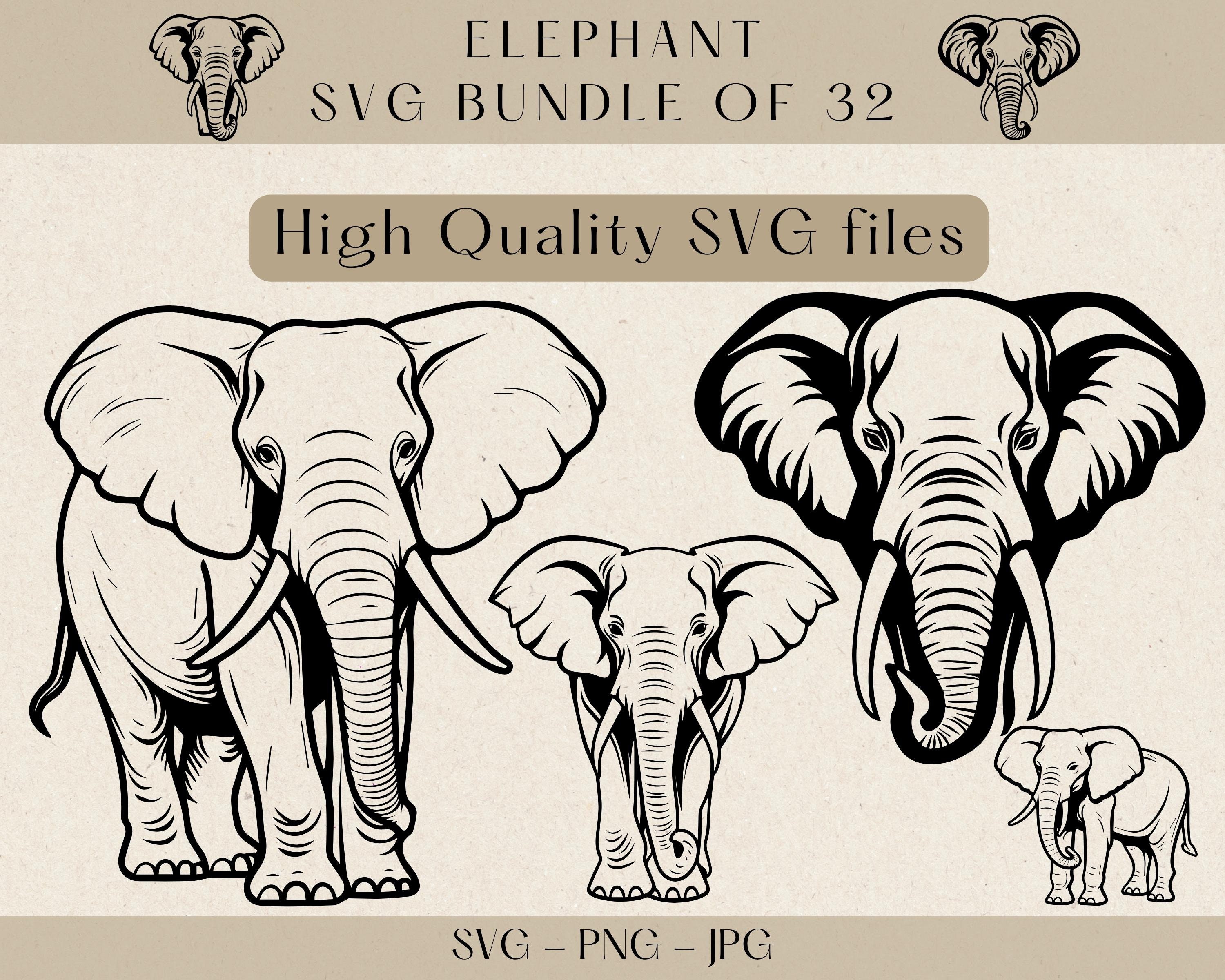 Elephant Svg Elephant Vector Elephant Silhouette Elephant - Etsy