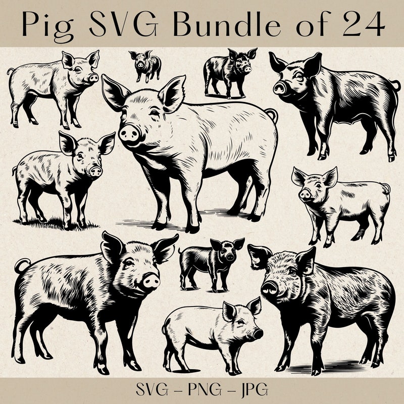 Pig Svg - Etsy