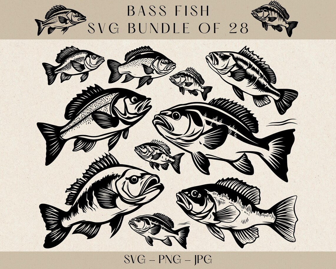 Bass Fish SVG Fish SVG Fish Png Fish Clipart Fish Vector - Etsy