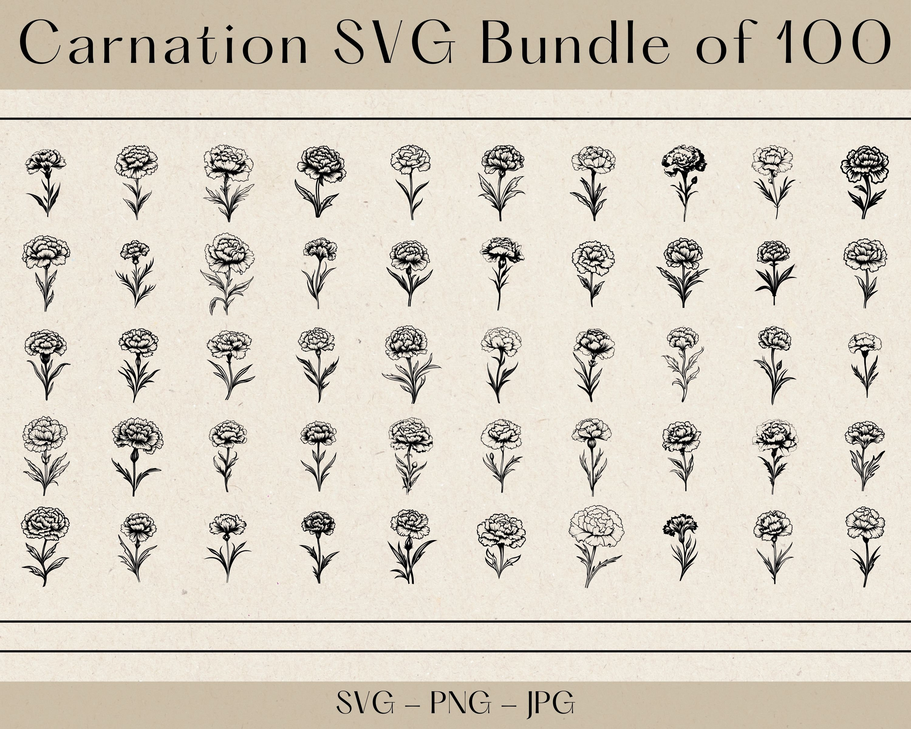 Carnation SVG Bundle Carnation SVG Carnation Flower Svg - Etsy
