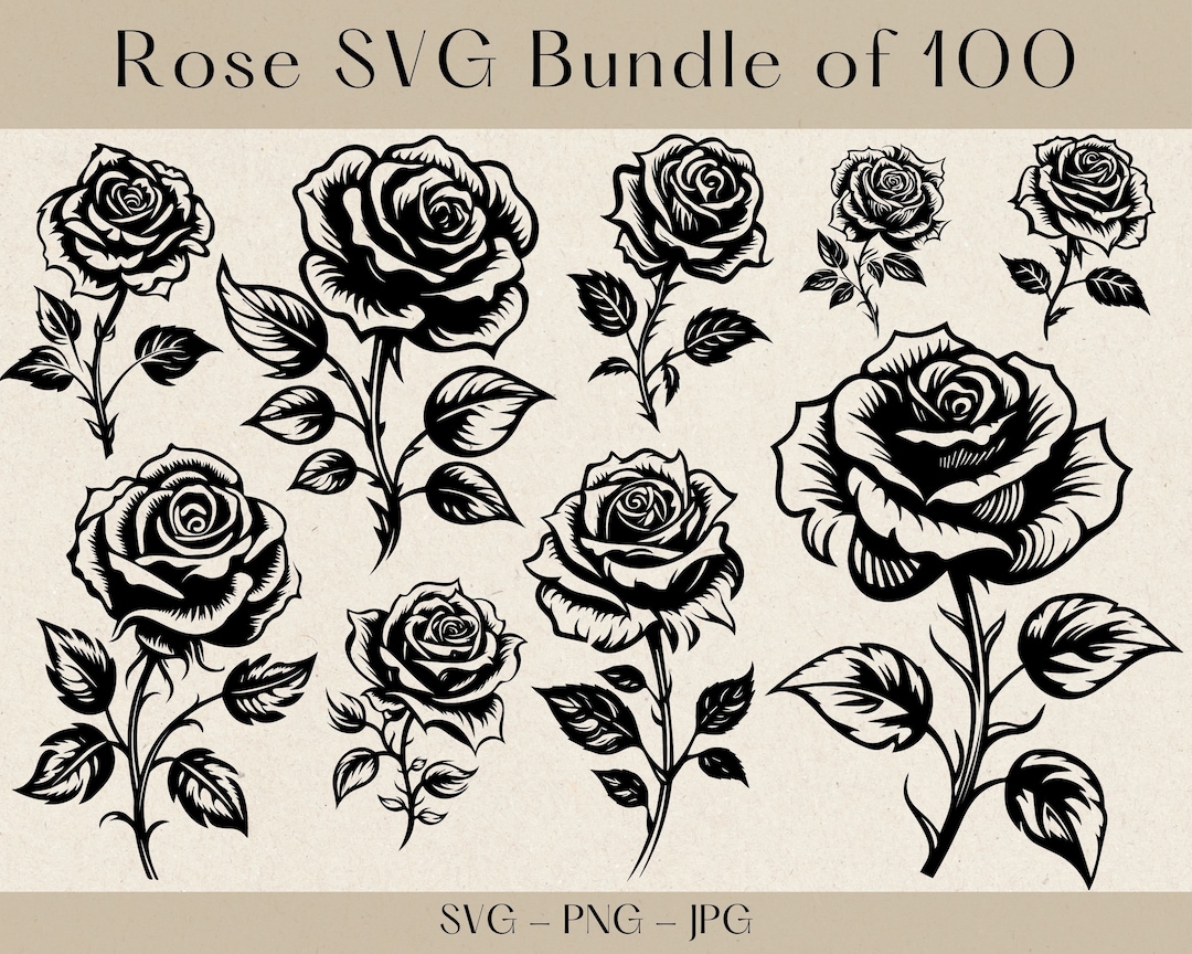 Rose SVG Bundle, Rose SVG, Rose Clipart, Rose PNG, Flower Svg, Flower ...