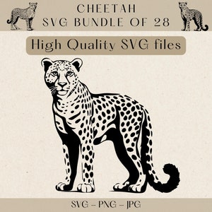 Cheetah Svg, Cheetah Clipart, Cheetah Vector, Leopard Vector, Cheetah ...