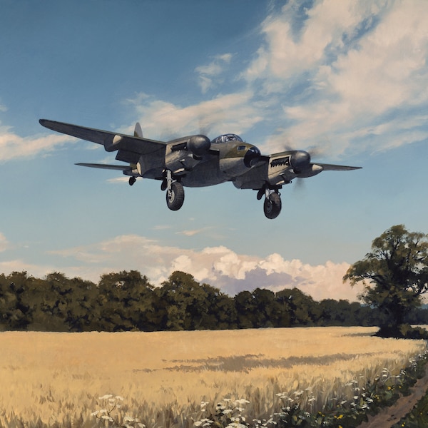 Mosquito Birthday Card - Etsy