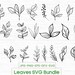 Leaves Svg Bundle, Leaf Vector Pack, Foliage Svg Set, Botanical Svg ...