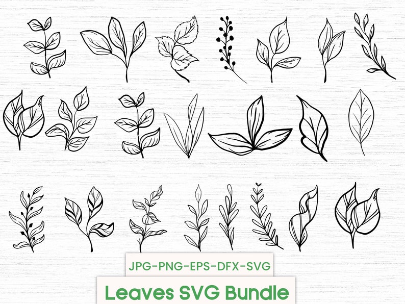 Leaves Svg Bundle, Leaf Vector Pack, Foliage Svg Set, Botanical Svg ...