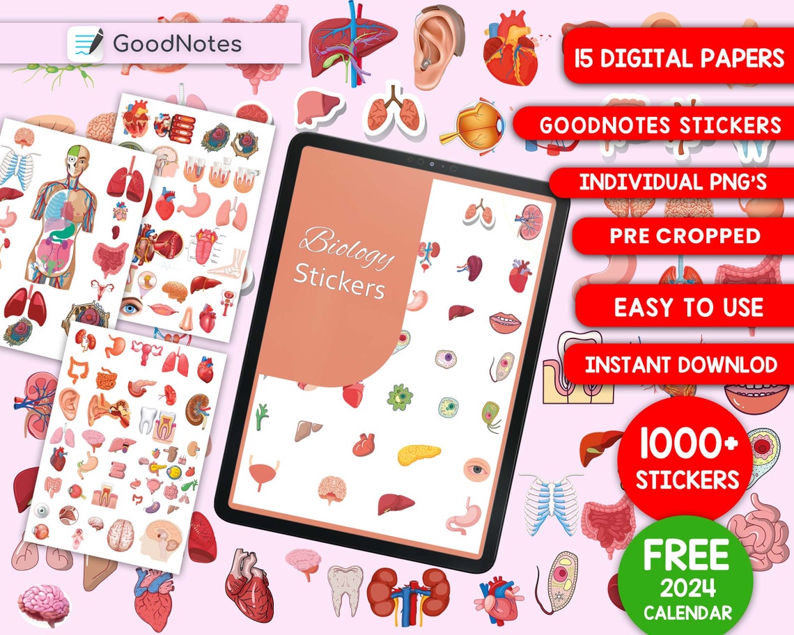 Biology & Anatomy Digital Stickers, Biology Stickers for Goodnotes, Pre ...