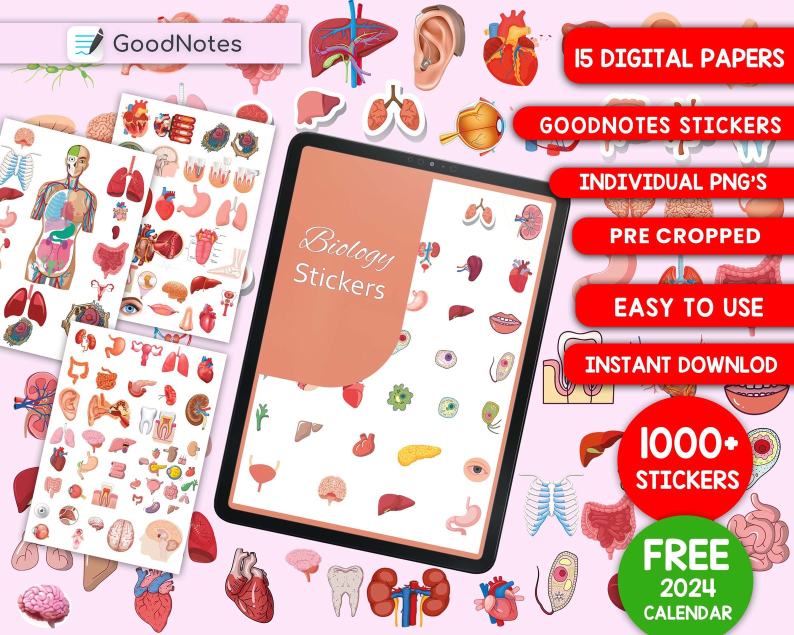 Biology & Anatomy Digital Stickers, Biology Stickers for Goodnotes, Pre ...