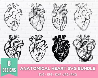 Anatomical Heart Svg File, Heart Svg Bundle, Human Heart Png ...