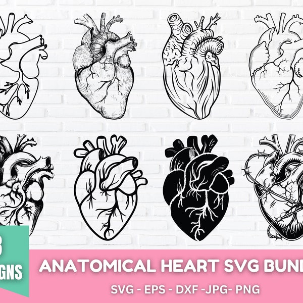 Human Heart - Etsy