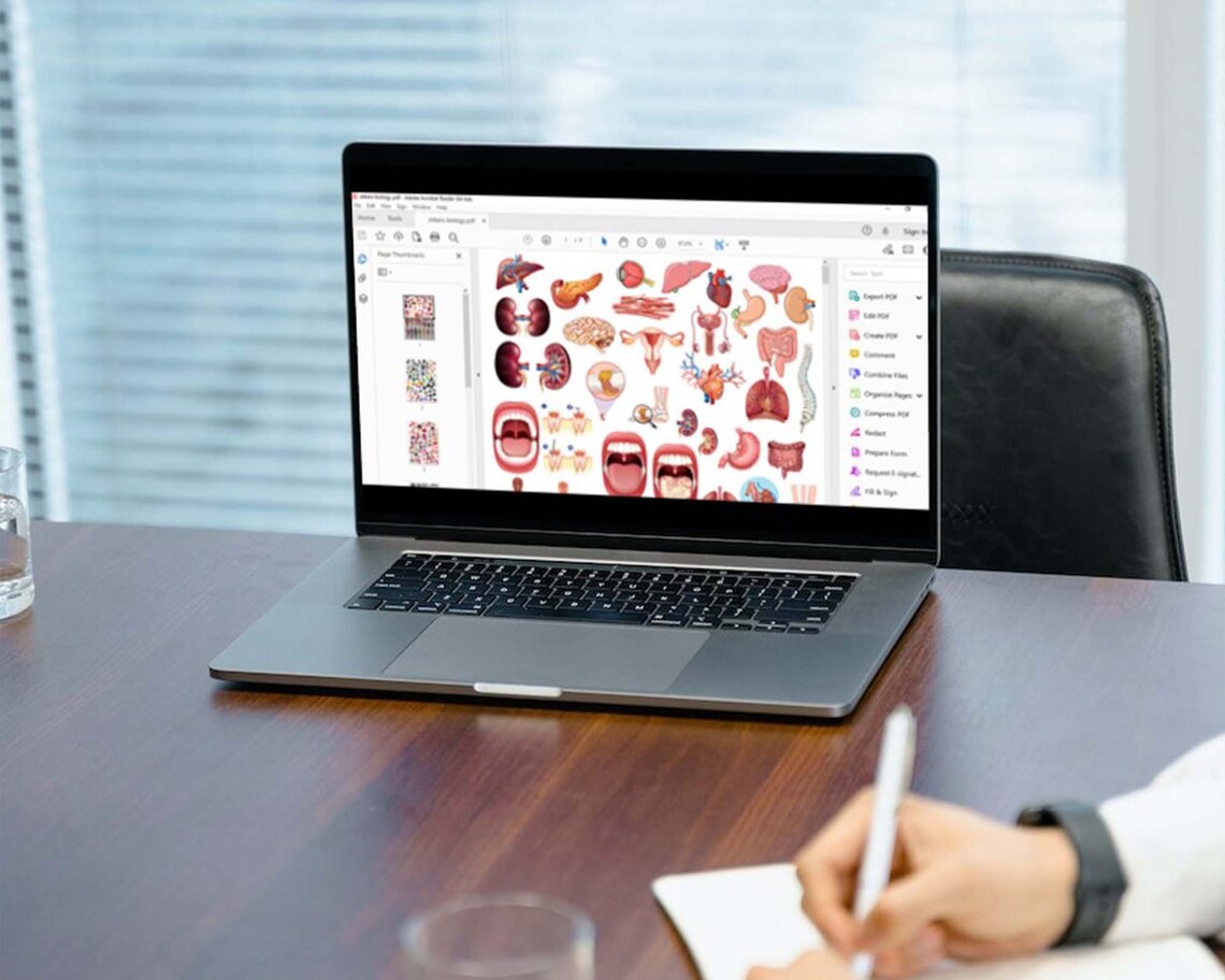 Biology & Anatomy Digital Stickers, Biology Stickers for Goodnotes, Pre ...