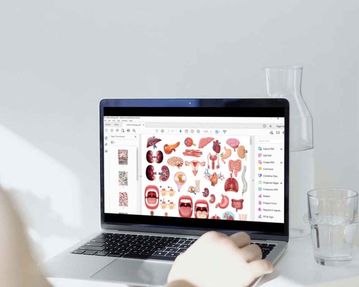 Biology & Anatomy Digital Stickers, Biology Stickers for Goodnotes, Pre ...