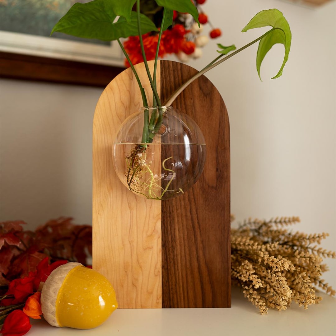 Propagation Vase - Fly Me to the Moon | Wall Art | Home Decor | Plants ...