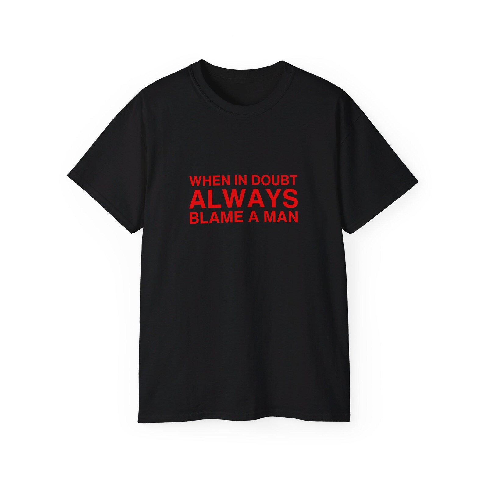 When in Doubt Always Blame A Man T-shirt Feminist Humor Shirt Sarcastic ...