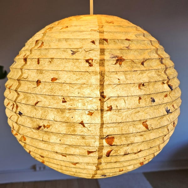 Paper Lampshades - Etsy